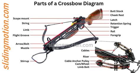 Ultimate Guide For 22 Crossbow Partsnames Functions And Diagram
