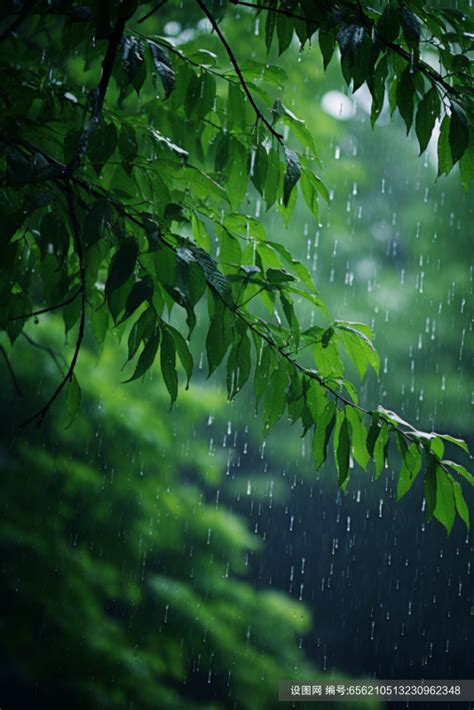雨水雨季下雨天气图片摄影图png下载 编号656210513230962348 设图网
