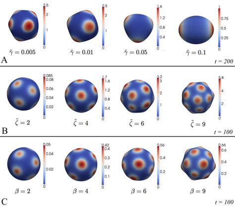 19 Influence Of Different Model Parameters On Appearing Patterns A