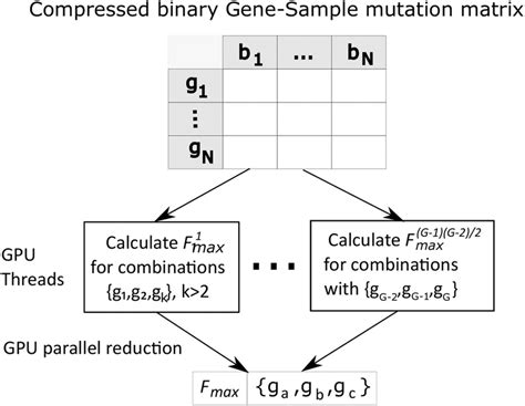mapping the multi hit cpu algorithm to the gpu illustrated for the