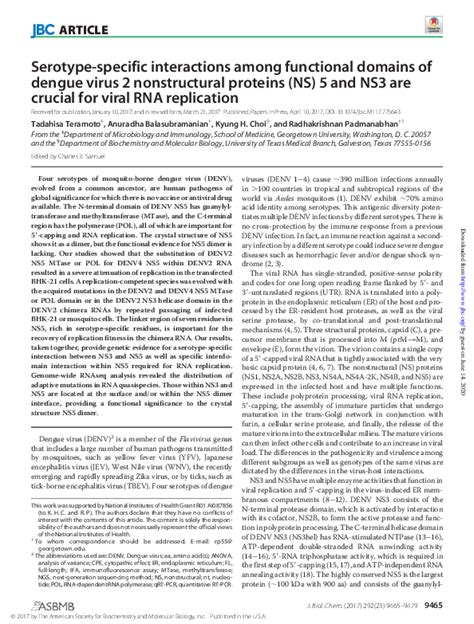 Pdf Serotype Specific Interactions Among Functional Domains Of Dengue