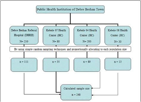 Flow Chart Indicating Sample Processes Of Postpartum Women Among Debre