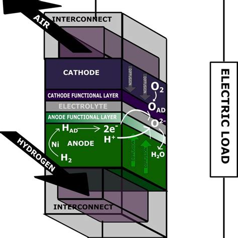 Solid Oxide Fuel Cell Electrode Microstructure At Phillip Dorsey Blog