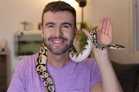 Cute Man Holding Exotic Ball Python Stock Photo Image Of Fauna Reptile
