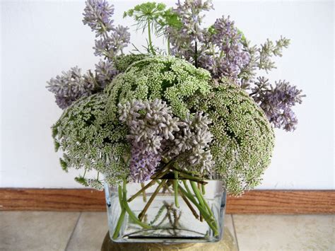 Queen Anne S Lace Flower Bouquet At Kate Wardill Blog