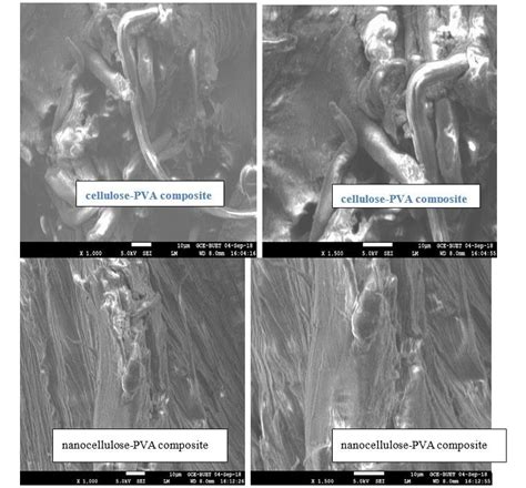 Sem Of Cellulose Pva Composite And Nanocellulose Pva Composite
