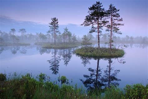 Estonian Nature Tours Visit One Nature Tour Baltic Countries Estonia