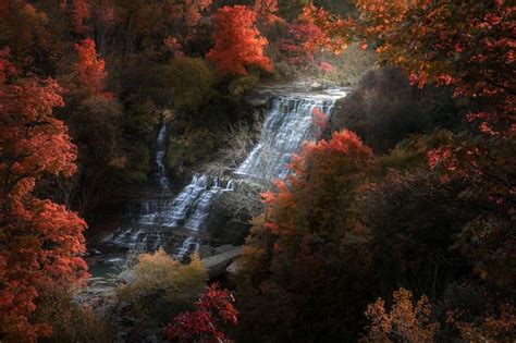 Premium Photo Hyper Realistic Illustration Of Cascade Fall In Forest