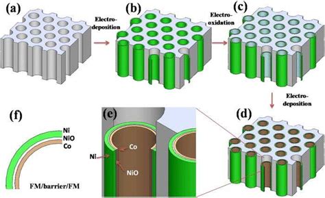 Color Online Schematics Of The Fabrication Process Of Co Nio Ni Download Scientific Diagram