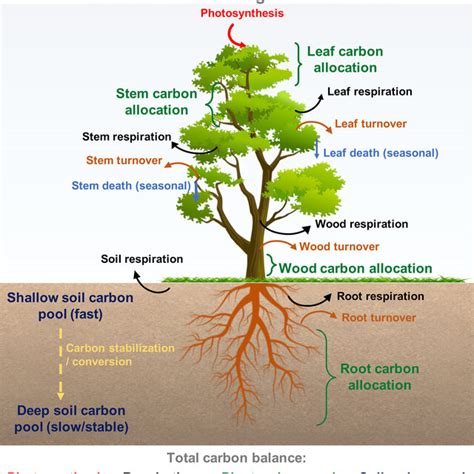Schematic Diagram Of Energy Budget And Processes Represented In Noah Mp Download Scientific