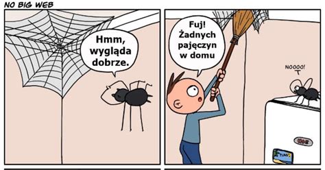 Pajęczyny w domu D JebZmeme pl Pajęczyny w domu D JebZmeme pl
