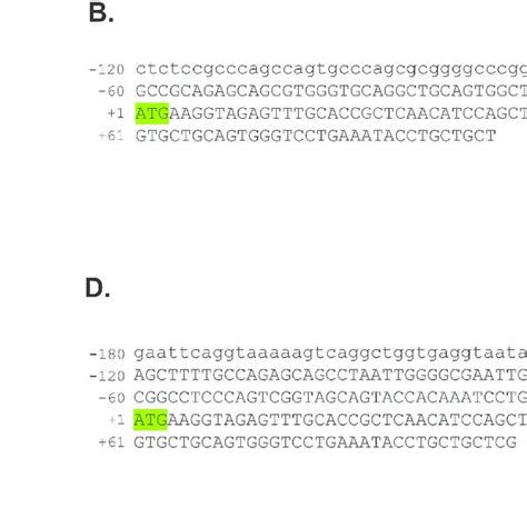 Chromosome Conformation Capture 3c Assay Of Human Mogat1 In Hk 2