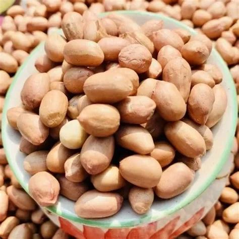 Peanut Testing Service At Rs 750service In Ghaziabad Id 26630810655 Peanut Testing Service At Rs 750service In Ghaziabad Id 26630810655