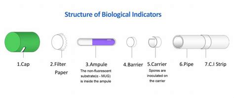 24 Hour Biological Indicator For Hydrogen Peroxide Sterilization