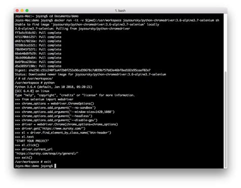 A Recipe For Website Automated Tests With Python Selenium And Headless