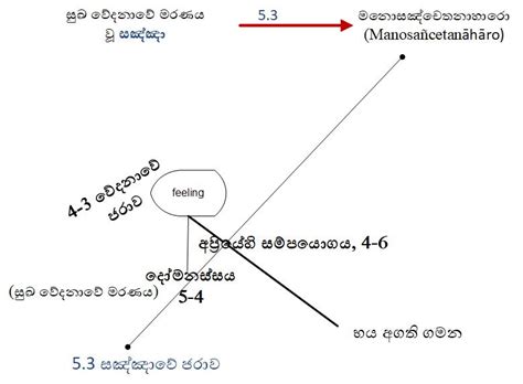 Meditations Of Lalith Ranatunga