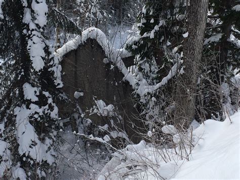 Elevation Of Kootenay Pass Central Kootenay C Bc V0g Canada