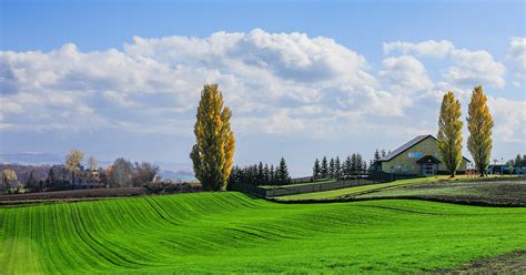 環境配慮行動の継続を促す情報システム開発に関する基礎研究が情報処理学会論文誌に採択されました 学会研究成果発表 NECソリューションイノベータ