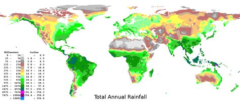 Building A Global Picture Of Plant Ecological Function Tern Australia