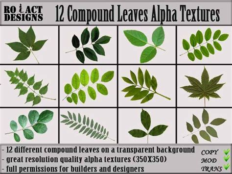 Second Life Marketplace Roactdesigns 12 Compound Leaves