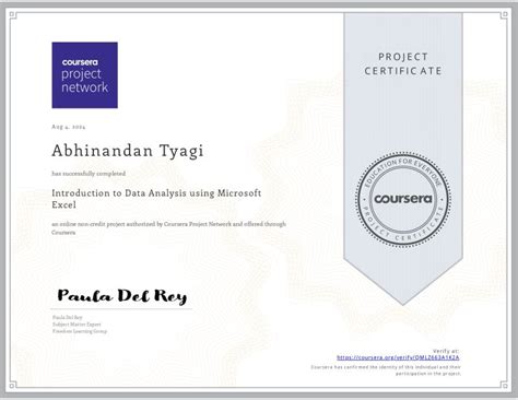 Coursera Dataanalysis Excel Skillenhancement