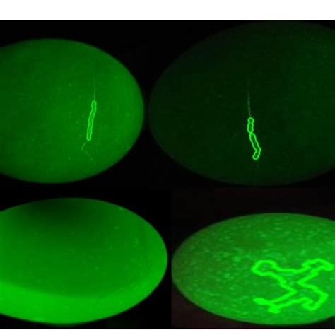 Schematic Diagram Of Crack Detection Results Download Scientific Diagram