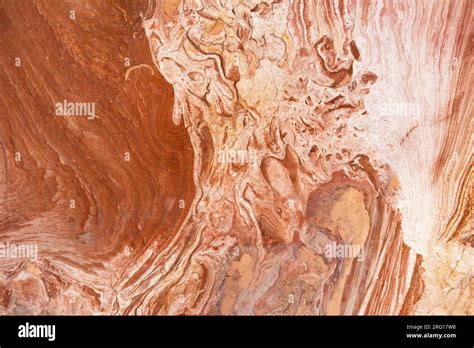 Rough Surface Of Brown Color With Cracks And Dry Uneven Texture Paria Canyon Located In Usa