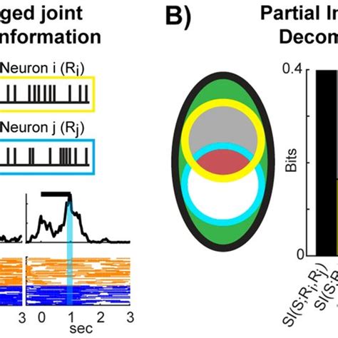 Stimulus Information In Mouse Auditory Cortex During A Tone Download Scientific Diagram