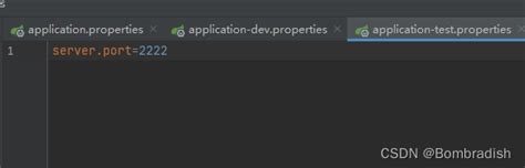 Springboot项目多环境配置及常见配置名的含义springboot配置服务名 Csdn博客