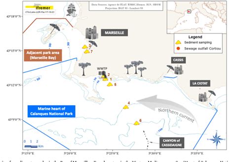 Figure 1 From Comparative Analysis Of Microplastics Detection Methods Applied To Marine