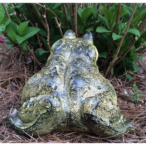 Homestyles Call Of The Wild Large Bullfrog Toad Garden Statue And Reviews