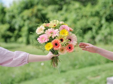 Sende Blomster Gi Glede Interflora