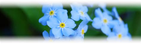 In The News The Actress Marion Mathie Passes Away ® Online Death Notices