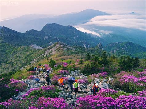 Seoraksan National Park South Korea Jirisan National Park South