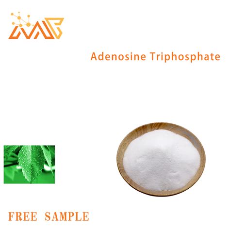 Adenosinetriphosphatenanjingmanhaymedicaltechnologycoltd