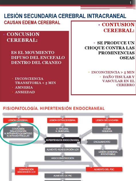 Hemorragia Subaracnoídea Enfermedades Y Trastornos Medicina Clinica