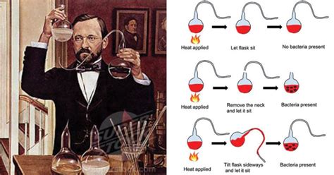 Louis Pasteur And His Contributions