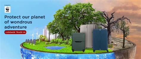 Ambert Khoo On Samsonite Malaysias Commitment To Protect Turtles