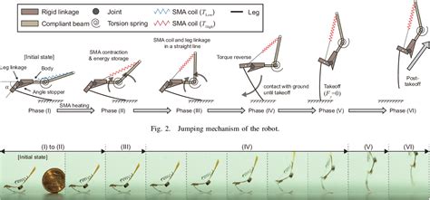 Figure 2 From Passive Aerial Righting And Safe Landing Of A Small Bio
