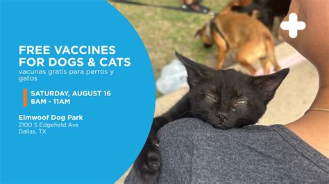 Free Fvrcp And Parvodistemper Vaccine Clinic