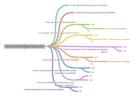Hormonal And Metabolic Dysfunction Coggle Diagram