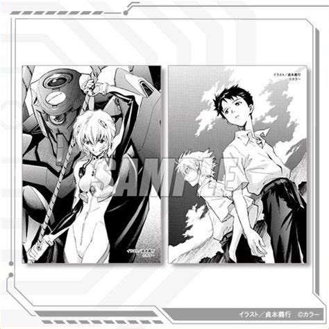 Eva 新世紀福音戰士 明日香 綾波麗 葛城美里 L判 相 興趣及遊戲 收藏品及紀念品 明星周邊 Carousell