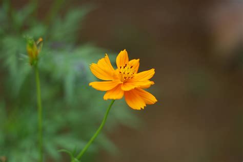 Preaching Background Photos Download The Best Free Preaching