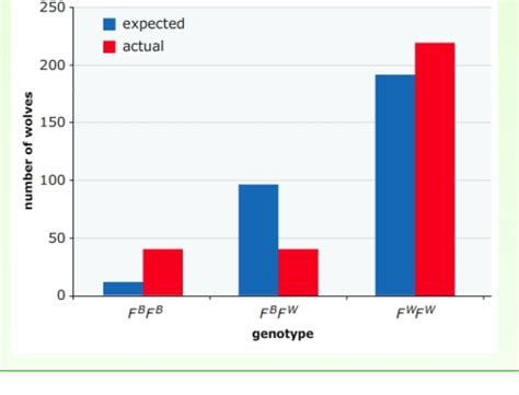 Genetic Equilibrium Graph