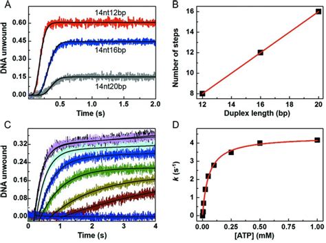 The Bacteroides Sp 3123 Pif1 Protein Is A Multifunctional Helicase Pmc