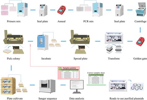 Schematic Overview Of The Automated Grna Plasmids Construction