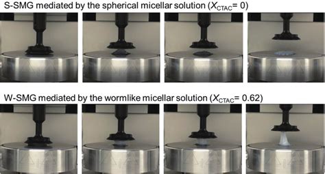 Visual Observations Of The Smg Hydrogel After Compression At A Download Scientific Diagram
