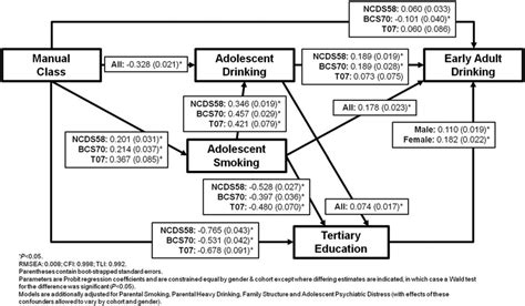 Probit Coefficients And Standard Errors From Analysis Model