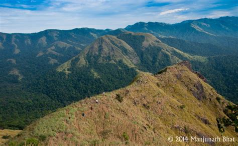 Savenature Manjunath Bhat Flickr