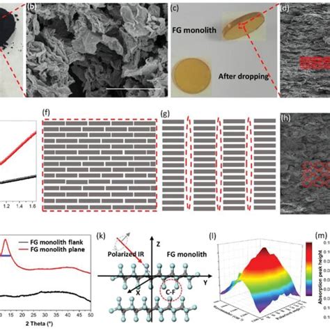 Schematic Of Direct Dry‐compression Molding For Graphene And Fg Download Scientific Diagram